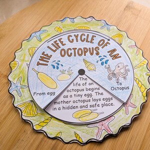 Ocean Animal Life Cycle Spinner Wheel, Homeschool Science Unit Activity ...