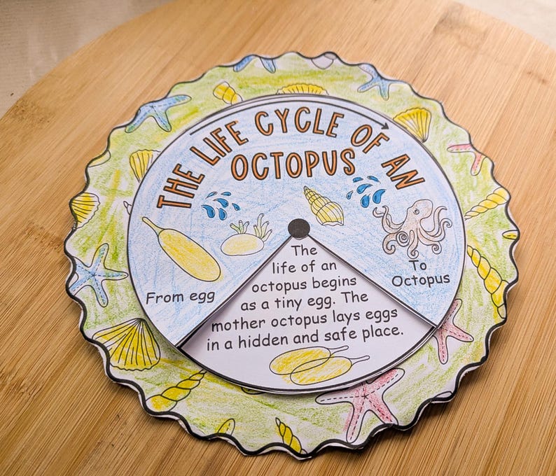 Ocean Animal Life Cycle Spinner Wheel, Homeschool Science Unit Activity ...
