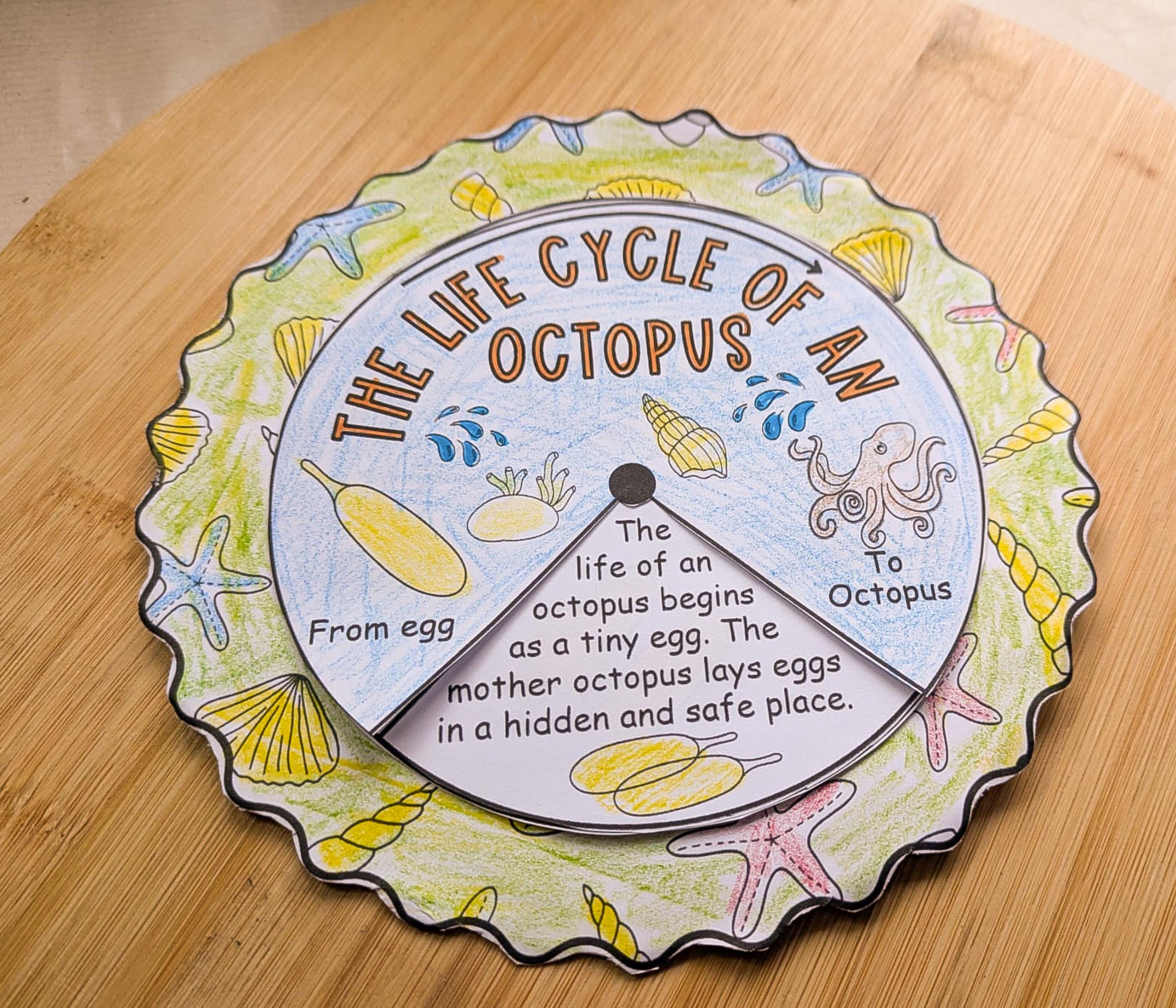 Ocean Animal Life Cycle Spinner Wheel, Homeschool Science Unit Activity ...