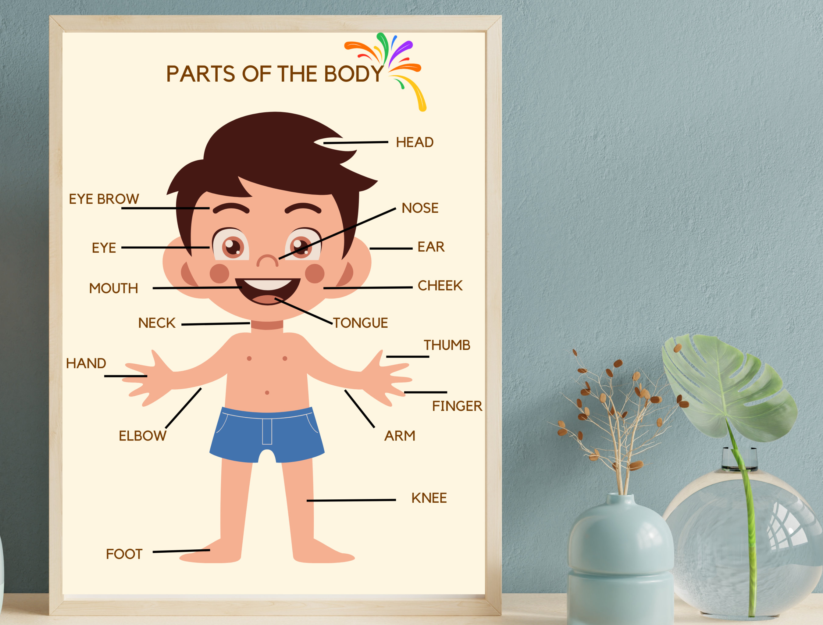 Cartel De Partes Del Cuerpo Humano Para Niños