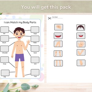 Body Parts Matching Activity for Toddlers, Printable Busy Book Page ...