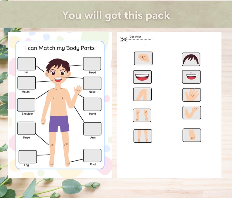 Body Parts Matching Activity for Toddlers, Printable Busy Book Page ...