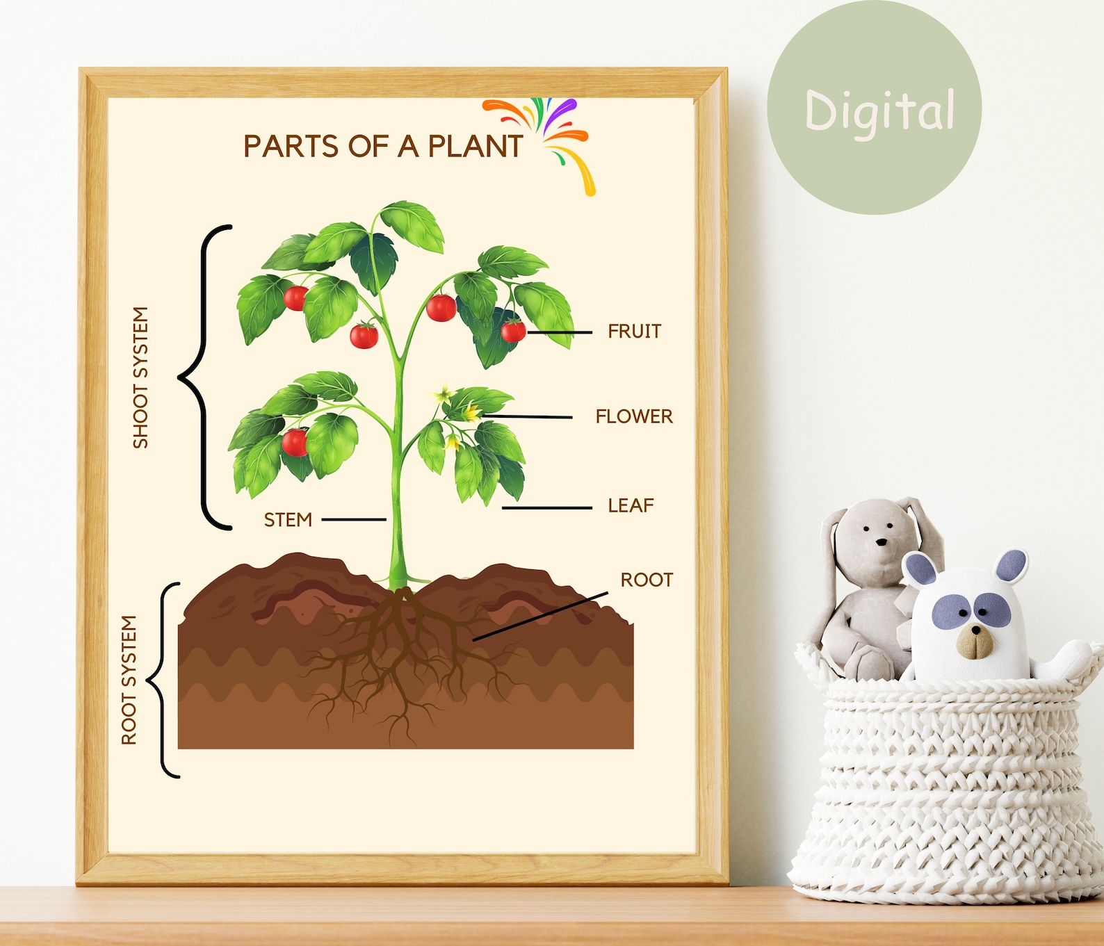 Parts of a Plant Educational Poster for Toddlers, Nature Homeschool ...