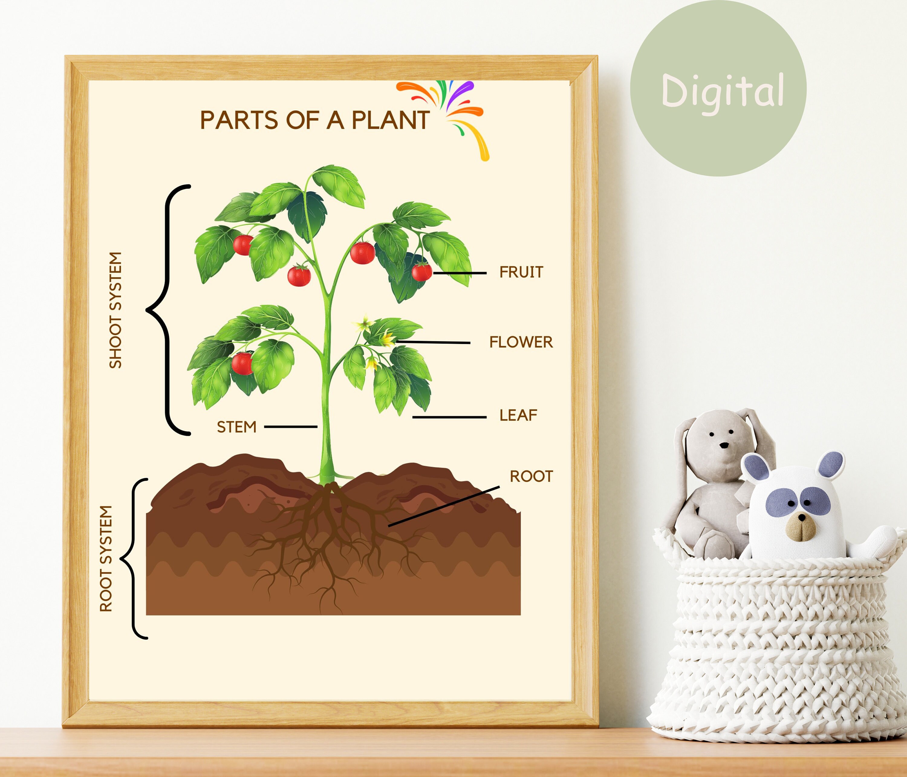 Parts of a Plant Educational Poster for Toddlers, Nature Homeschool ...