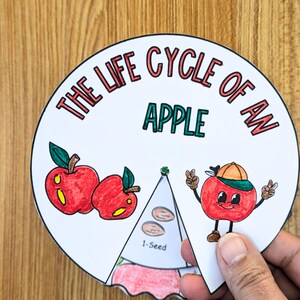 Life Cycle of an Apple Spinner Wheel Kids, Homeschool Science Unit ...