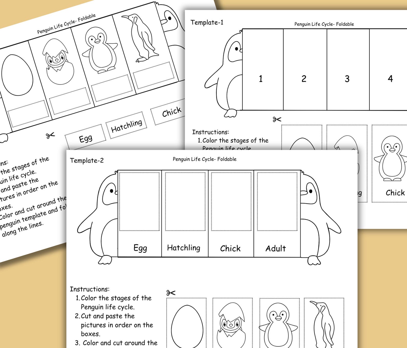 Penguin Life Cycle Foldable Activity, Sequencing With Picture Cards ...