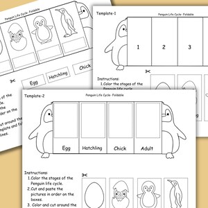 Penguin Life Cycle Foldable Activity, Sequencing With Picture Cards ...