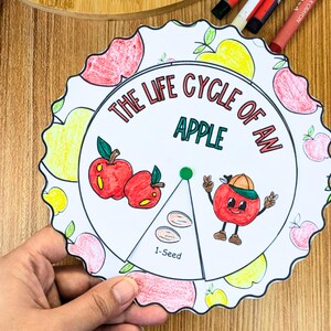 Life Cycle of an Apple Spinner Wheel Kids, Homeschool Science Unit ...