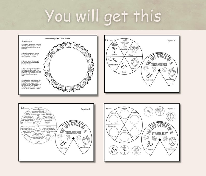 Life Cycle of a Strawberry, Homeschool Science Plant Unit Activity ...