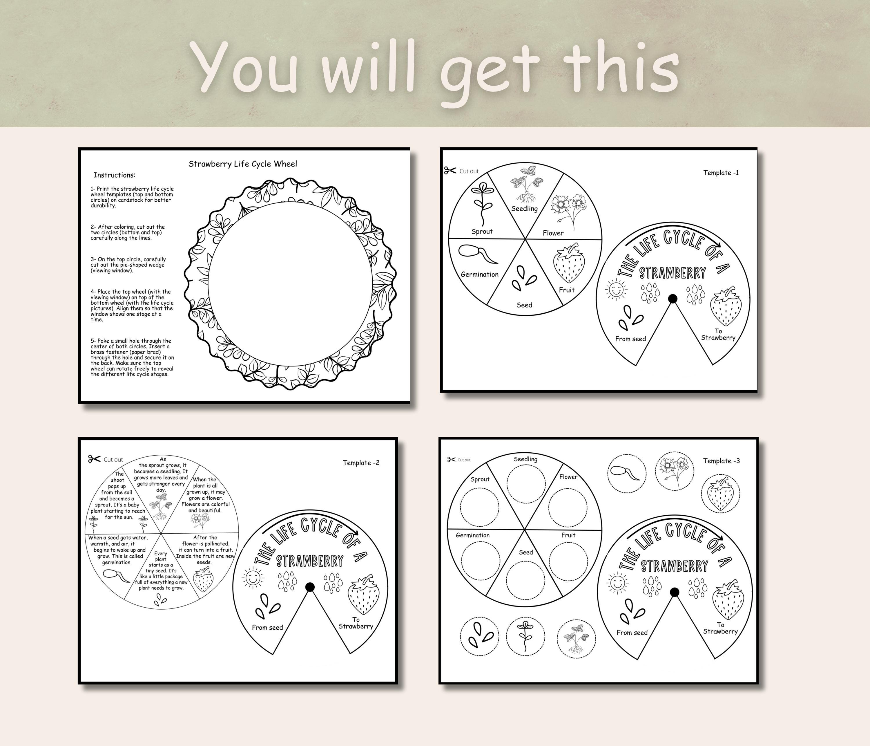 Life Cycle of a Strawberry, Homeschool Science Plant Unit Activity ...