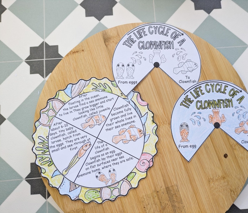 Ocean Animal Life Cycle Spinner Wheel, Homeschool Science Unit Activity ...