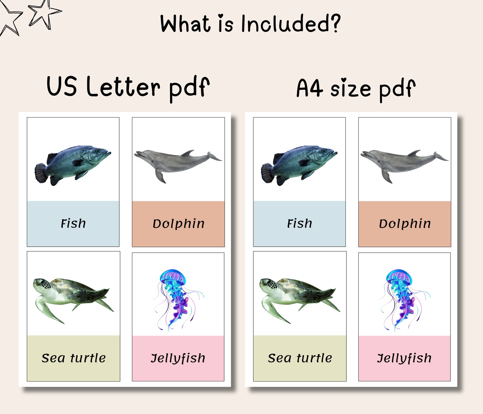 Ocean Animals Flashcards, Preschool Learning Cards, Homeschool ...