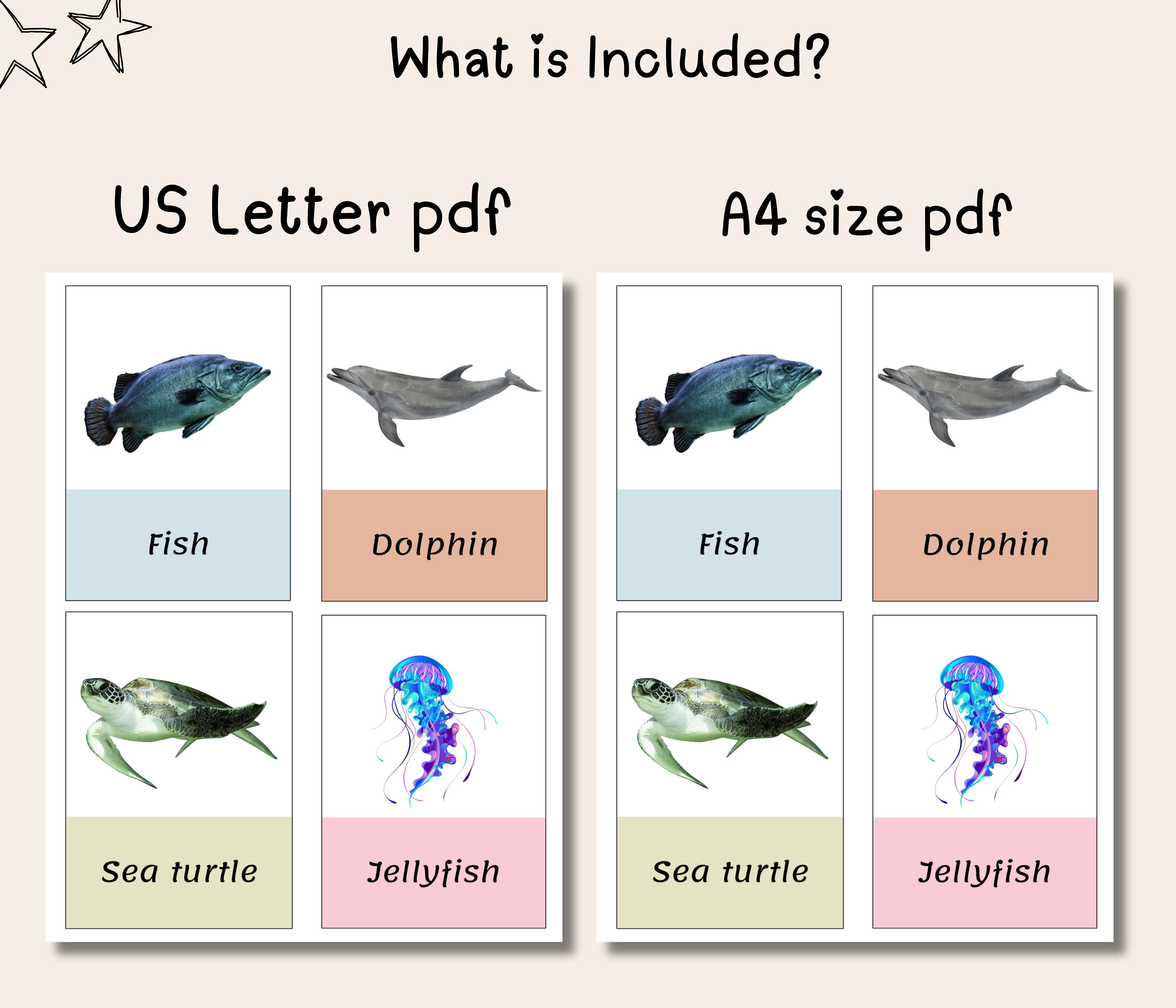 Ocean Animals Flashcards, Preschool Learning Cards, Homeschool ...