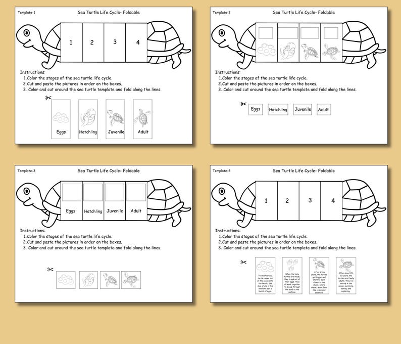Life Cycle of a Sea Turtle Foldable Activity, Homeschool Science Unit ...