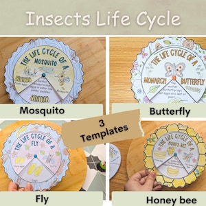 Insects Life Cycle Spinner Wheel, Homeschool Science Unit Activity ...