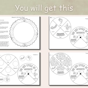 Life Cycle of a Mosquito Foldable Activity, Homeschool Science Unit ...