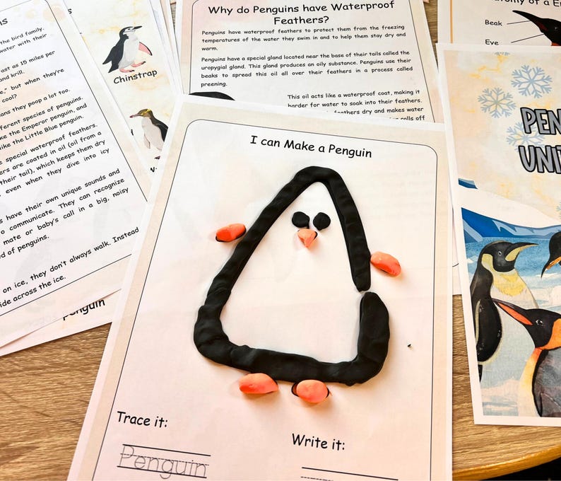 Penguin Unit Study, Life Cycle, Charlotte Mason Inspired Preschool ...