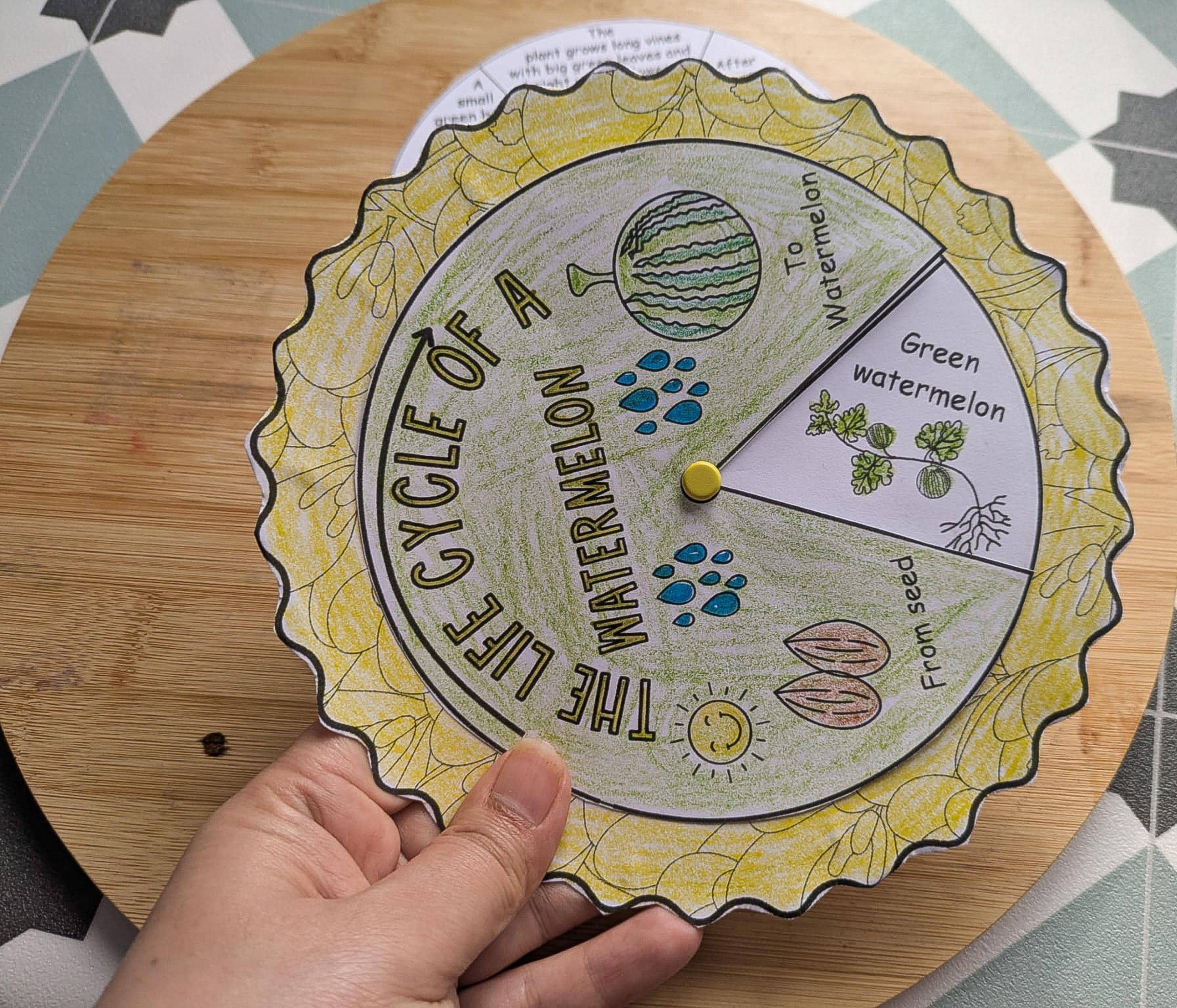 Life Cycle of a Watermelon, Plant Life Cycle Printable, Homeschool ...