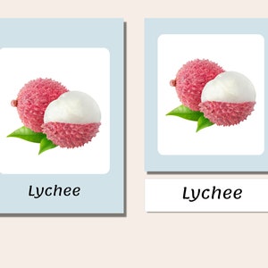 Fruit Flashcards for Kid, Montessori 3 Part Cards, Nomenclature Cards ...