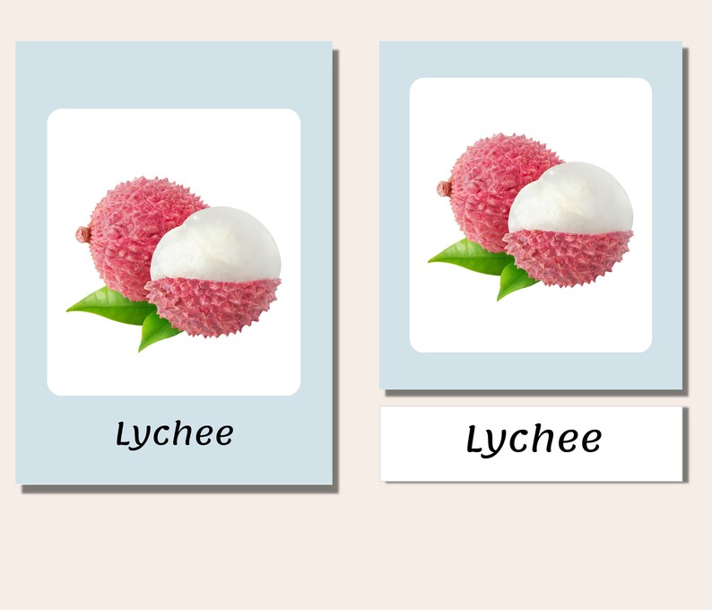 Fruit Flashcards for Kid, Montessori 3 Part Cards, Nomenclature Cards ...