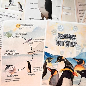 Penguin Unit Study, Life Cycle, Charlotte Mason Inspired Preschool ...