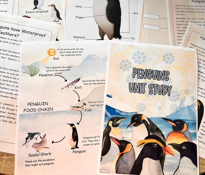 Penguin Unit Study, Life Cycle, Charlotte Mason Inspired Preschool ...
