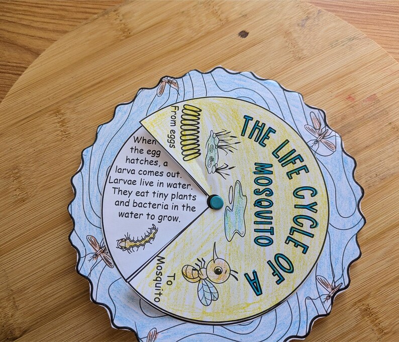 Life Cycle of a Mosquito Foldable Activity, Homeschool Science Unit ...