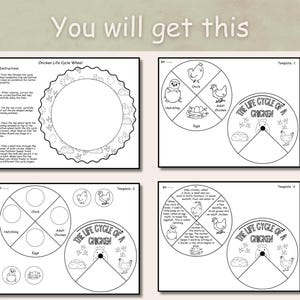 Life Cycle of a Chicken Wheel, Homeschool Science Unit Study ...