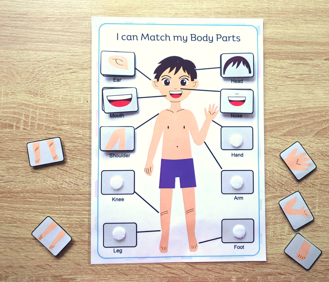 Body Parts Matching Activity for Toddlers Printable Busy Book - Etsy