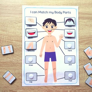 Body Parts Matching Activity for Toddlers, Printable Busy Book Page ...