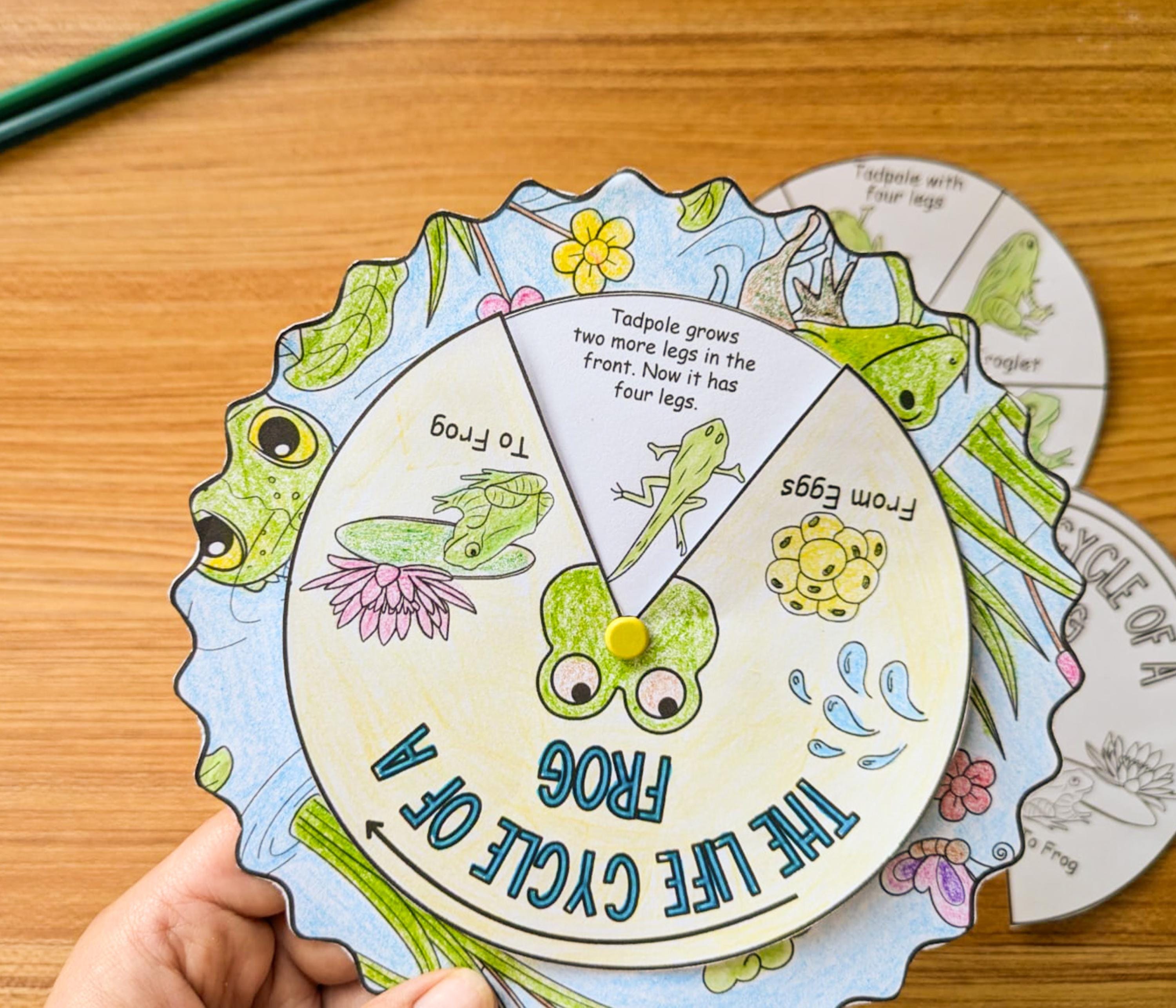 Life Cycle of a Frog Wheel, Homeschool Science Unit Activity, Sequence ...