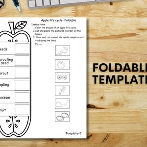 Life Cycle of an Apple Foldable Activity, Homeschool Science Unit ...