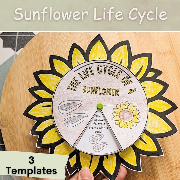 Life Cycle Puzzle - Etsy