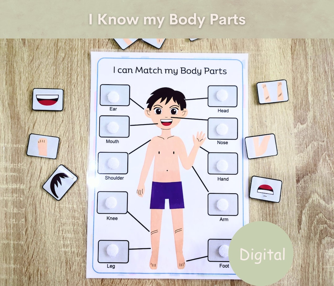 Body Parts Matching Activity for Toddlers, Printable Busy Book Page ...