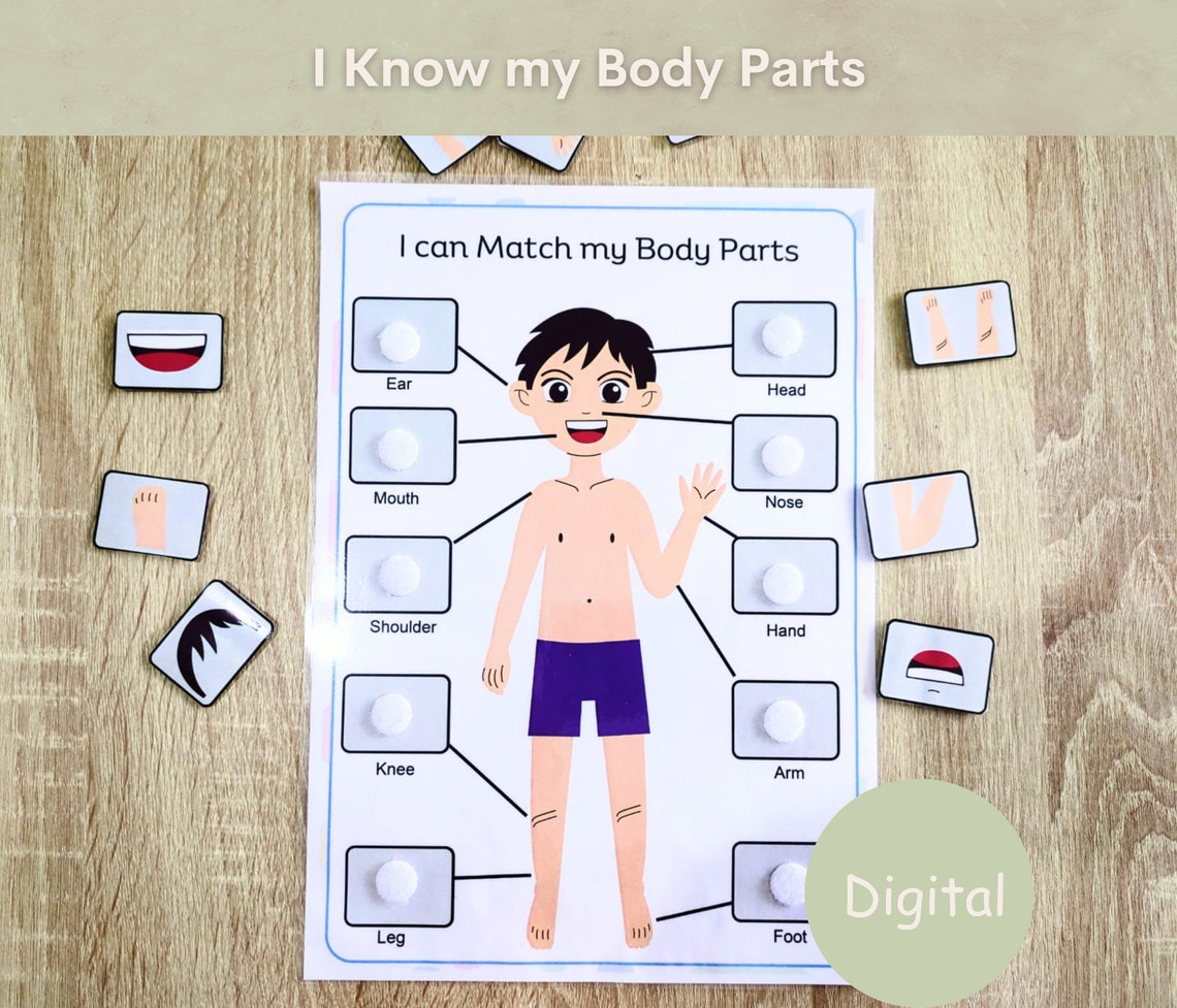 Body Parts Matching Activity for Toddlers Printable Busy Book - Etsy