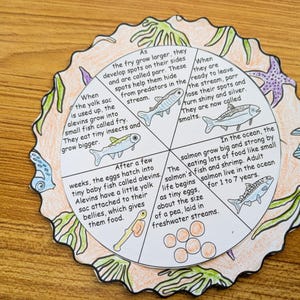 Life Cycle of a Salmon, Homeschool Science Unit Activity, Sequencing ...