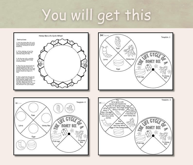 Life Cycle of a Honey Bee Wheel, Homeschool Science Unit Study ...