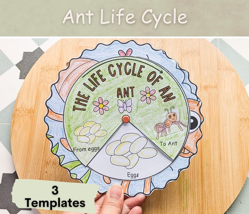 Life Cycle of an Ant, Homeschool Science Curriculum, Kindergarten Unit ...