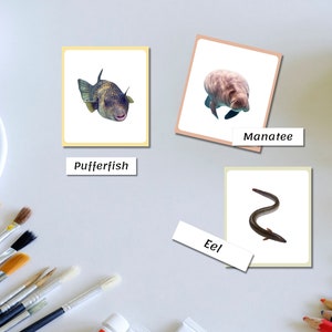 Ocean Animals Flashcards, Preschool Learning Cards, Homeschool ...