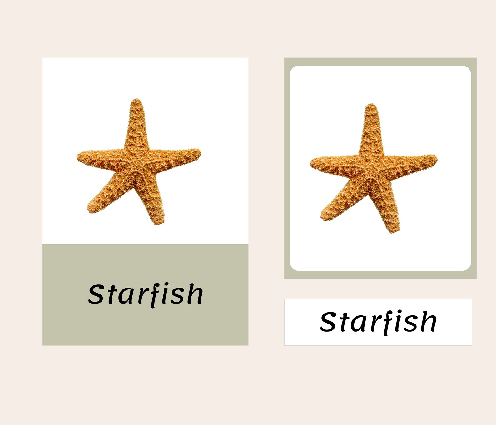 Ocean Animals Flashcards, Preschool Learning Cards, Homeschool ...