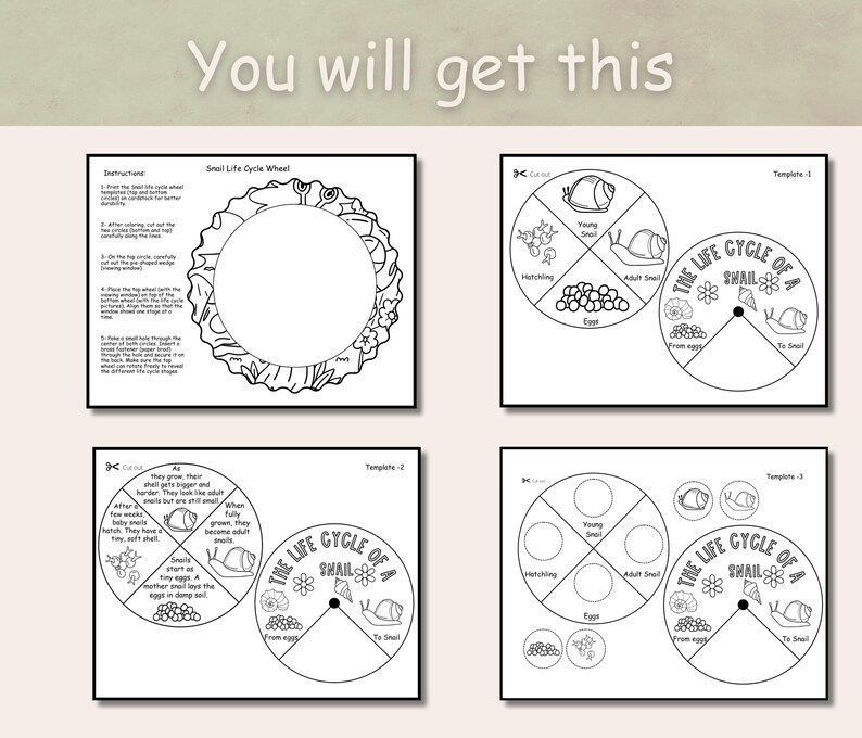 Life Cycle of a Snail Spinner Wheel, Sequence Activity for Kindergarten ...