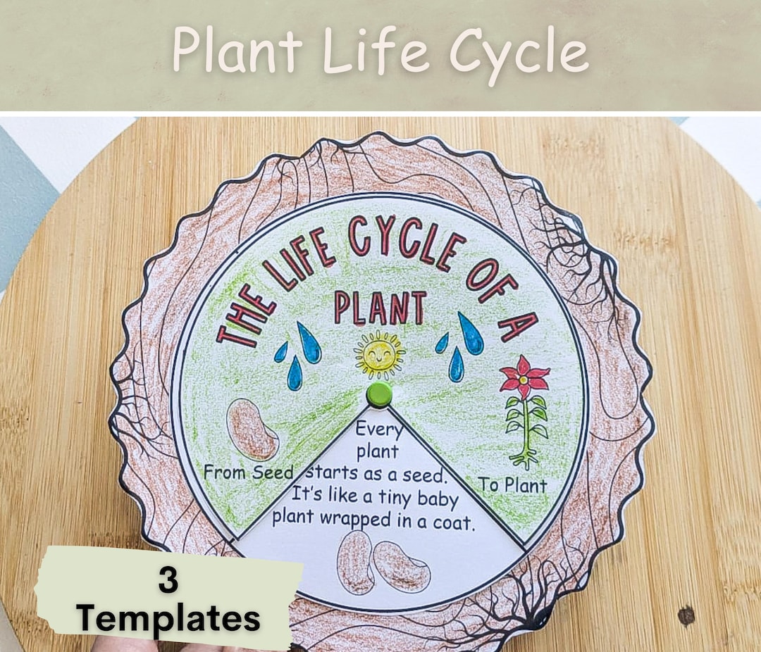Life Cycle of a Plant, Homeschool Science Unit Activity, Sequencing ...