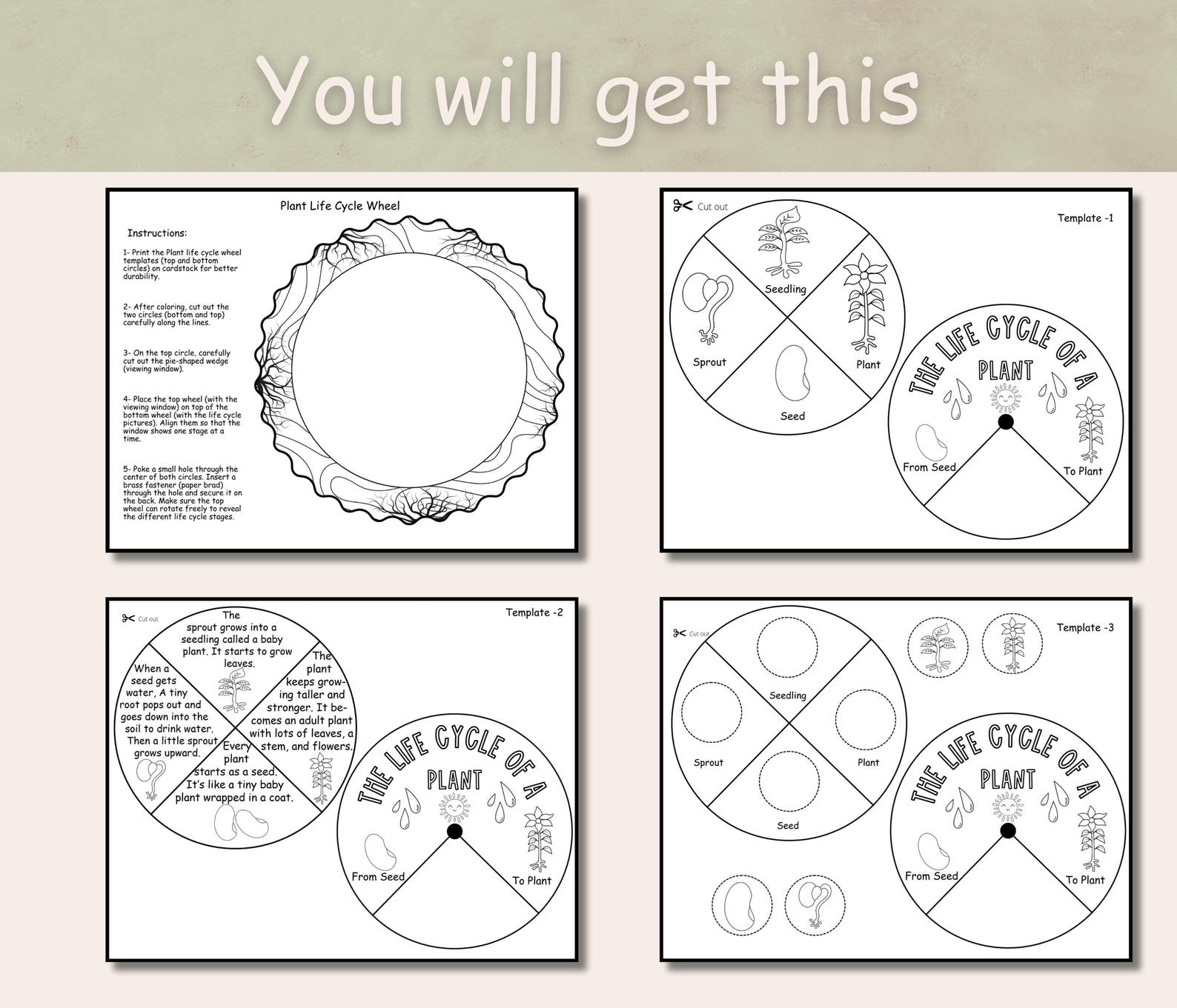 Life Cycle of a Plant, Homeschool Science Unit Activity, Sequencing ...