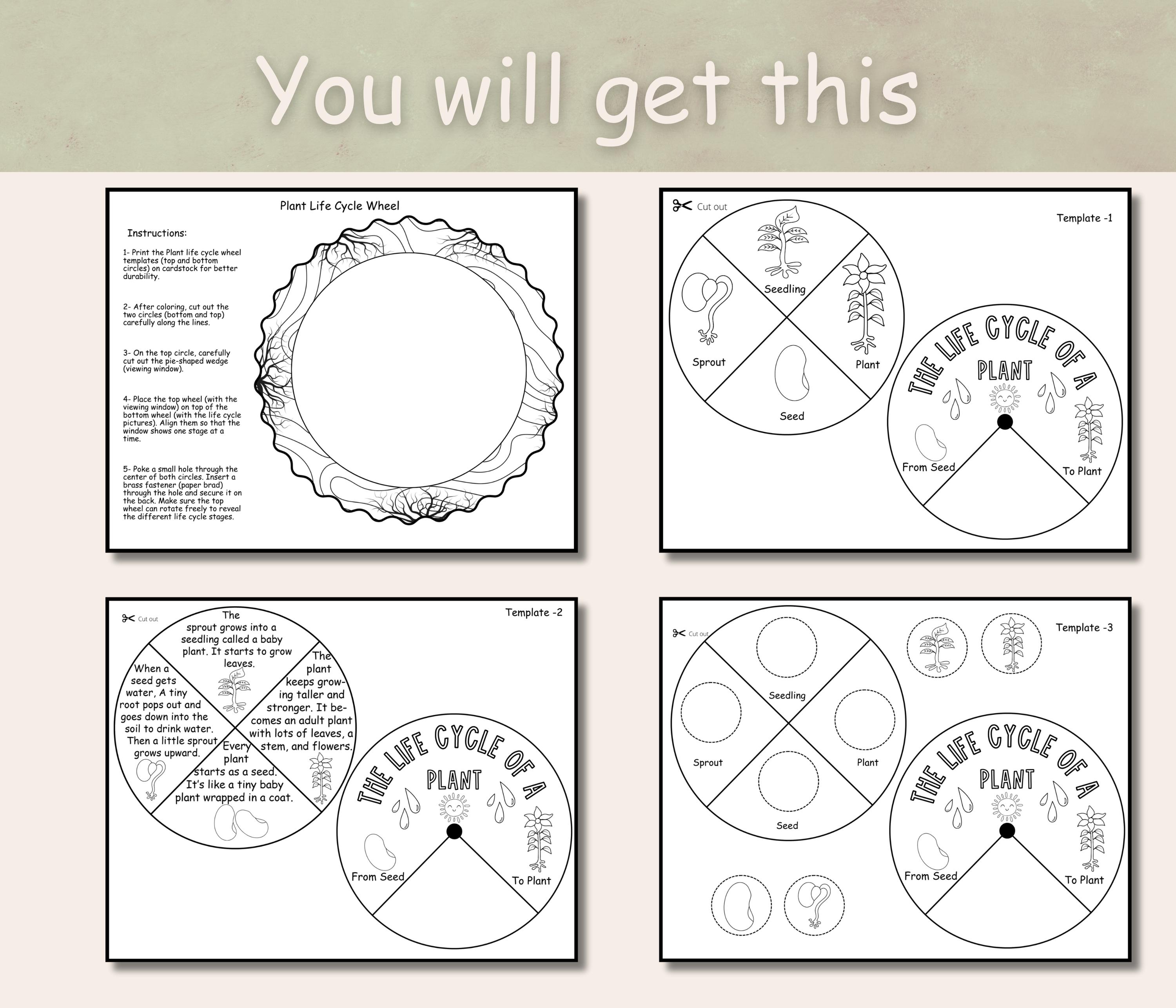 Life Cycle of a Plant, Homeschool Science Unit Activity, Sequencing ...