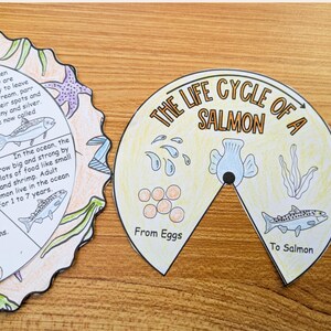 Life Cycle of a Salmon, Homeschool Science Unit Activity, Sequencing ...