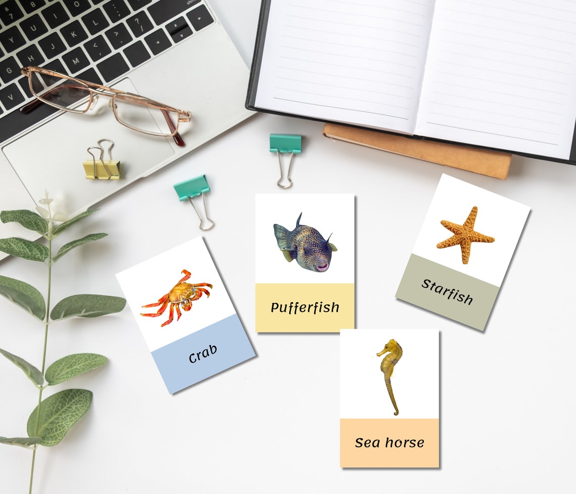 Ocean Animals Flashcards, Preschool Learning Cards, Homeschool ...