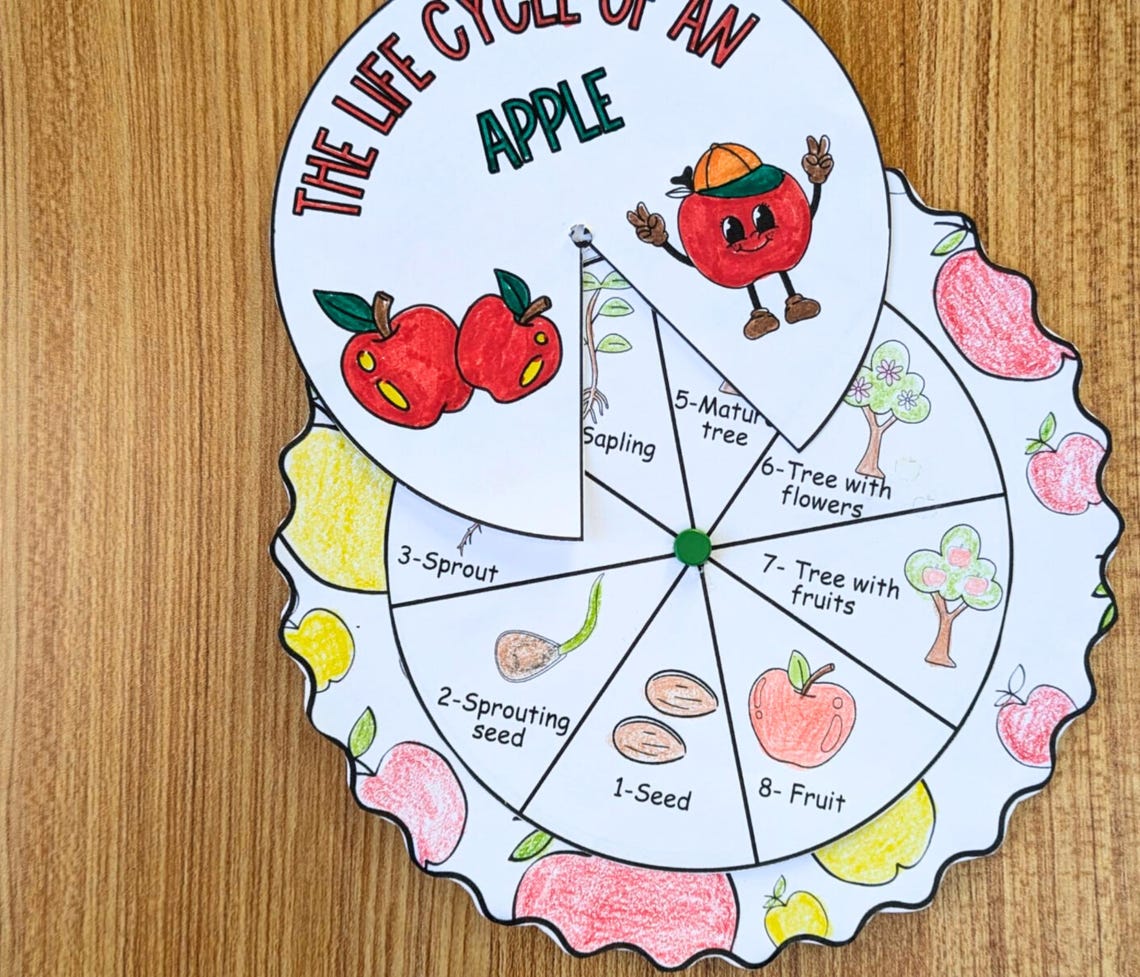 Life Cycle of an Apple Spinner Wheel Kids, Homeschool Science Unit ...