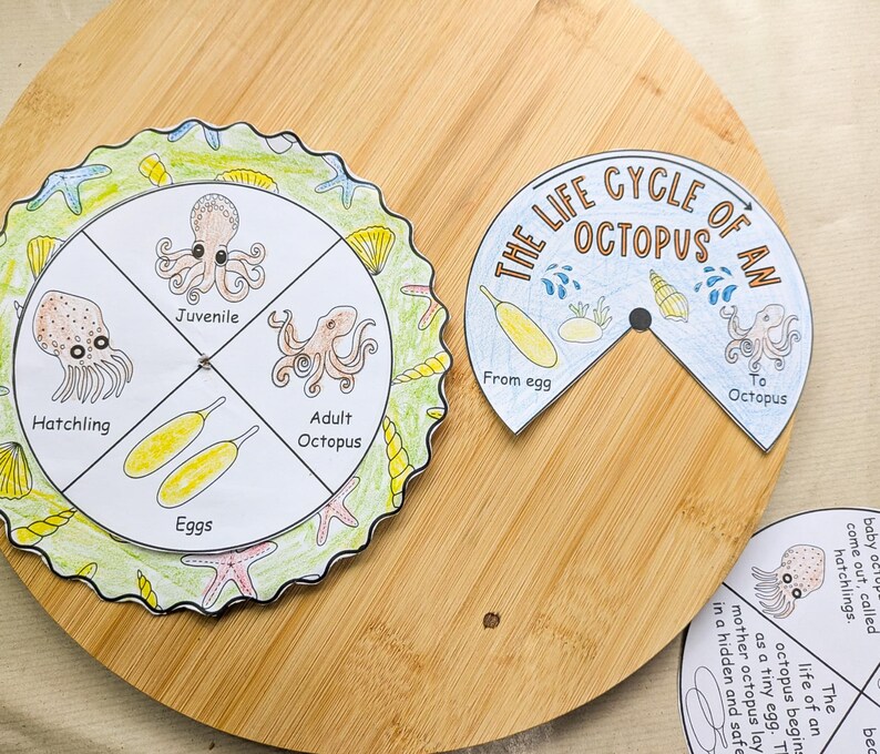 Life Cycle of an Octopus Wheel, Homeschool Science Unit Study ...