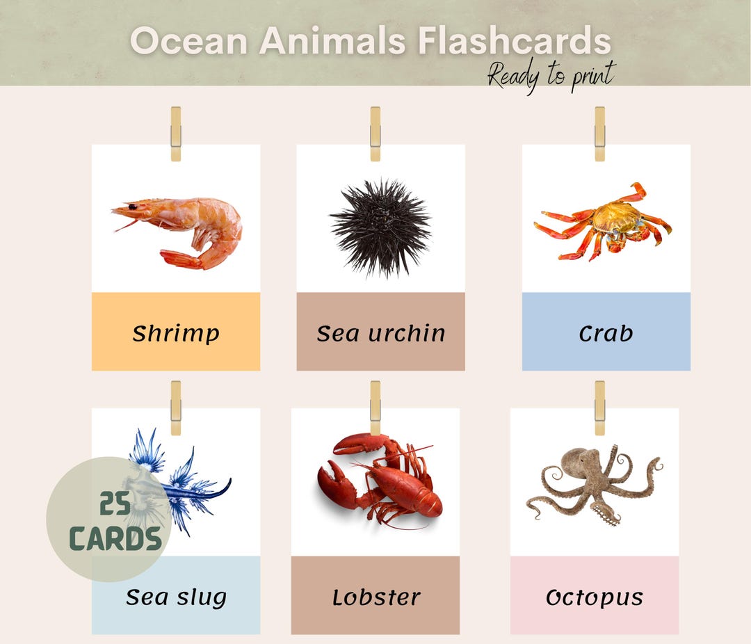 Ocean Animals Flashcards, Sea Animals Flashcards, 3-part Animal Card ...