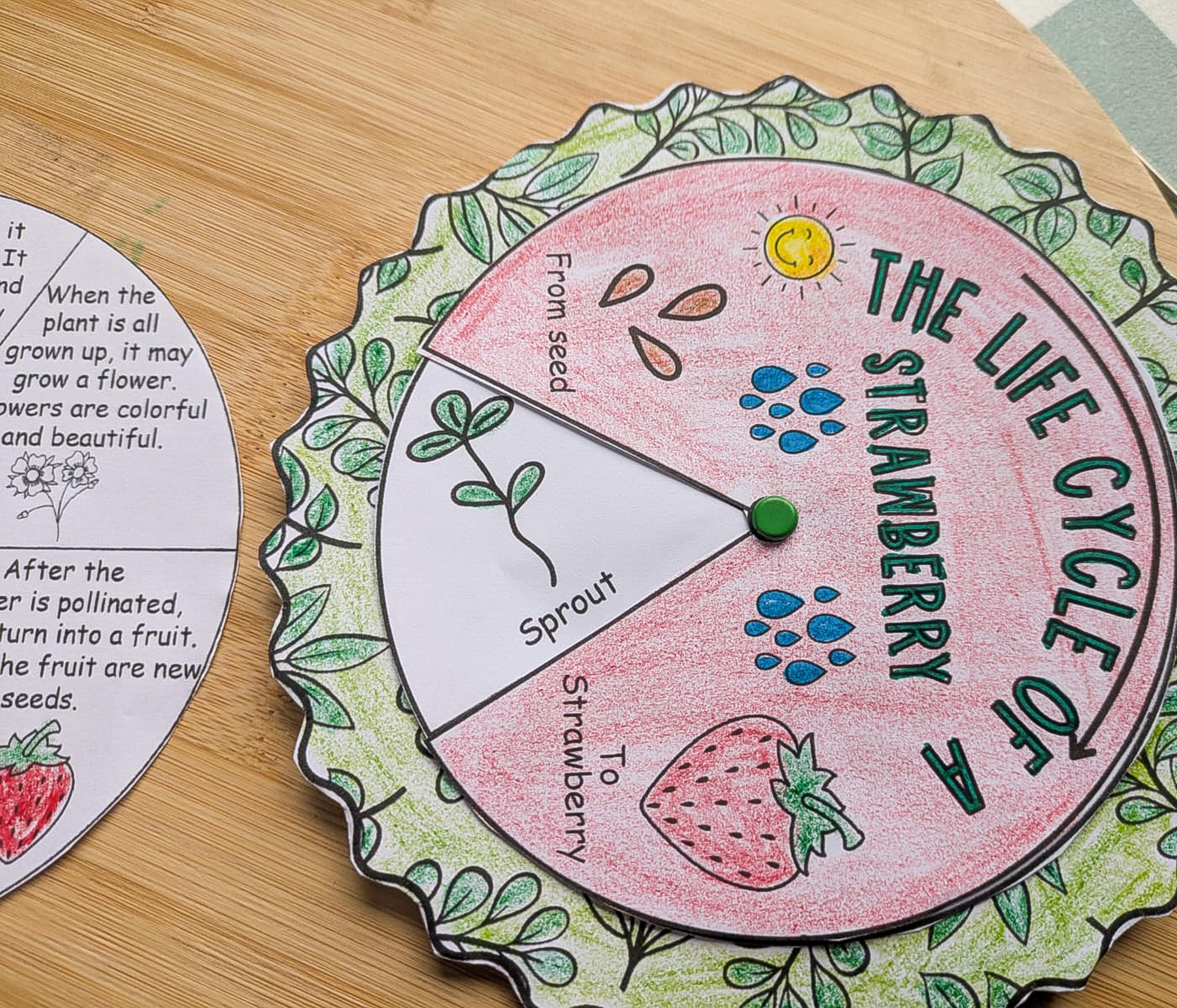 Life Cycle of a Strawberry, Homeschool Science Plant Unit Activity ...